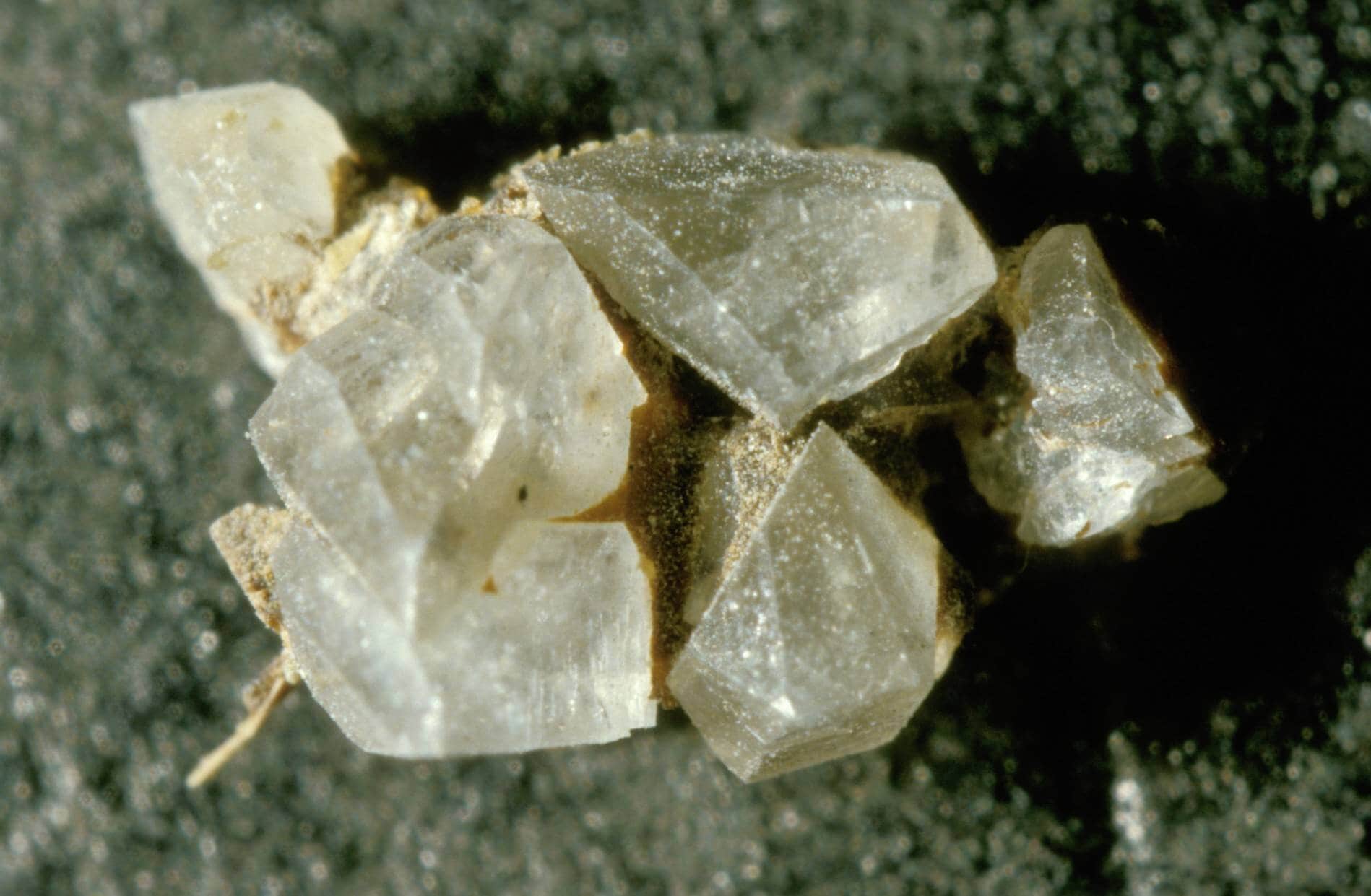 Russian scientists developed new struvite fertilizer — Fertilizer Daily