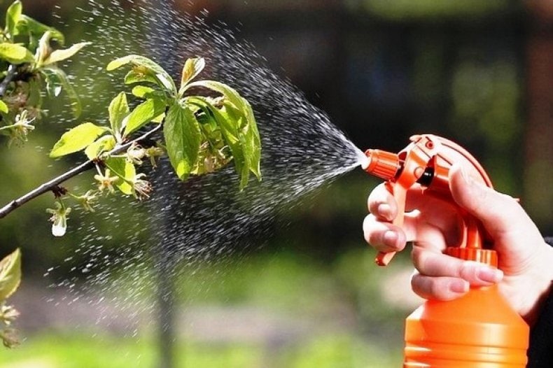 Vive Crop Protection will bring a new fungicide to the market ...