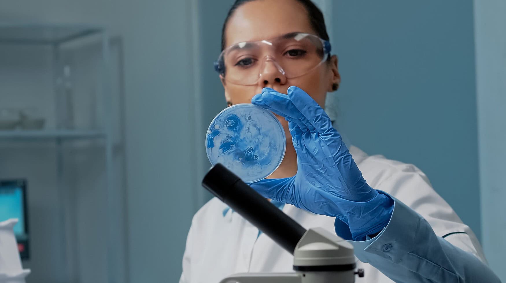 Scientists are developing insecticides based on spider venom ...