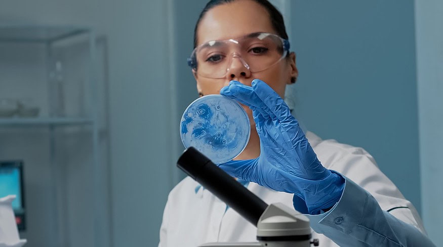 Scientists are developing insecticides based on spider venom ...