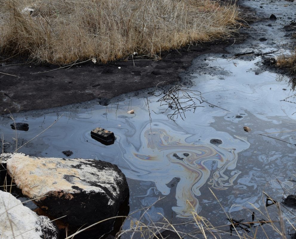 Kemerovo Azot caused damage to the environment estimated at $557 ...