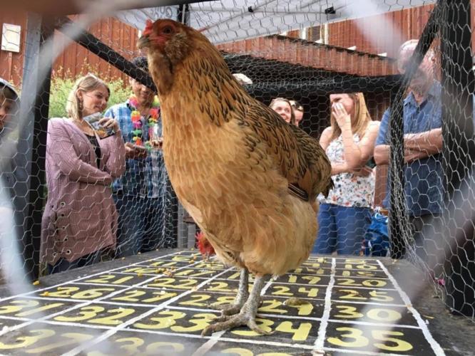 Chicken Poop Bingo: a unique fundraiser for Tucson Village Farm ...