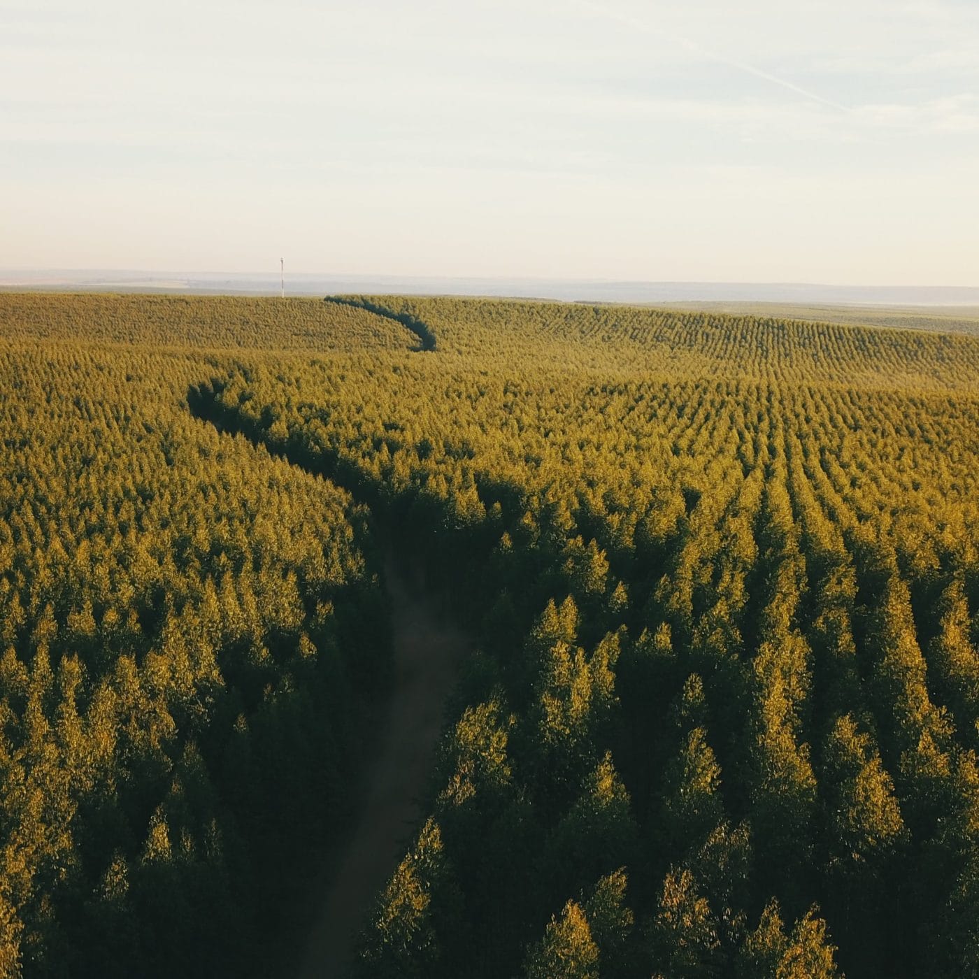 Brazil sets monthly record for fertilizer deliveries — Fertilizer Daily