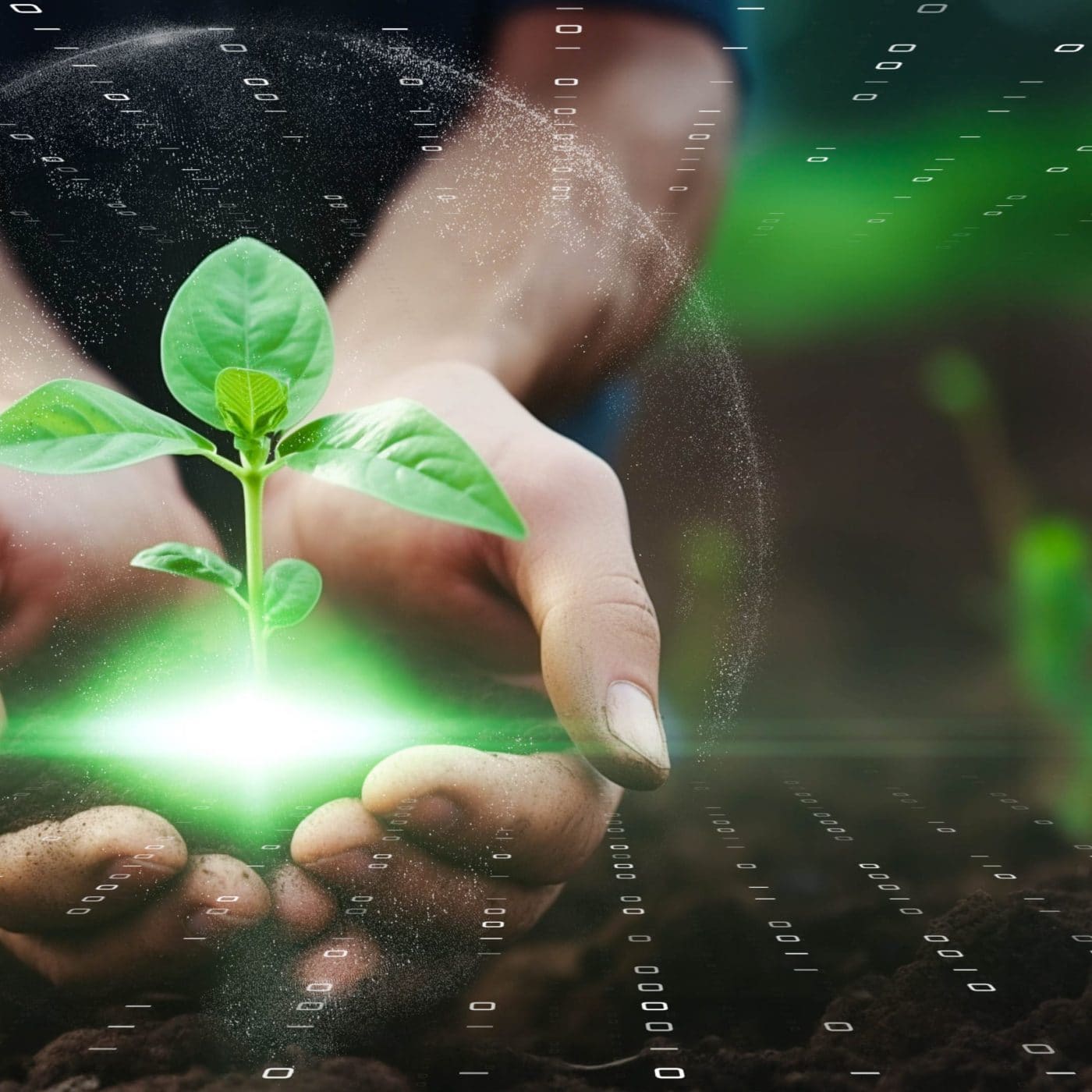 ICL Growing Solutions partners with AI startup Agrematch — Fertilizer Daily