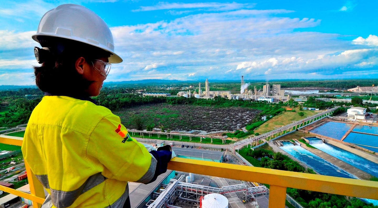 Indonesia launches new state-owned ammonium nitrate factory ...