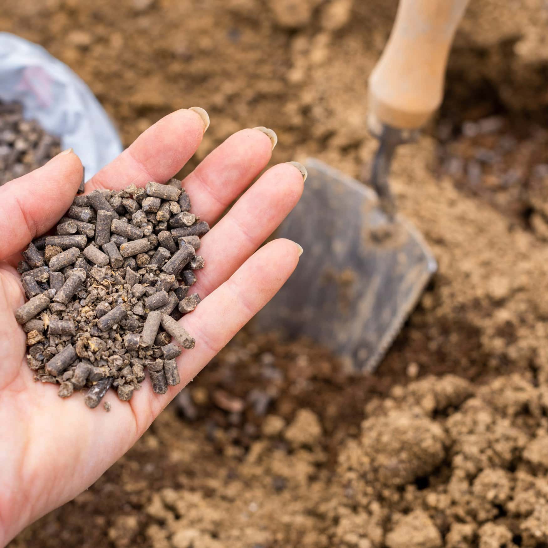 US producer makes organic fertilizer breakthrough with the new pellet ...