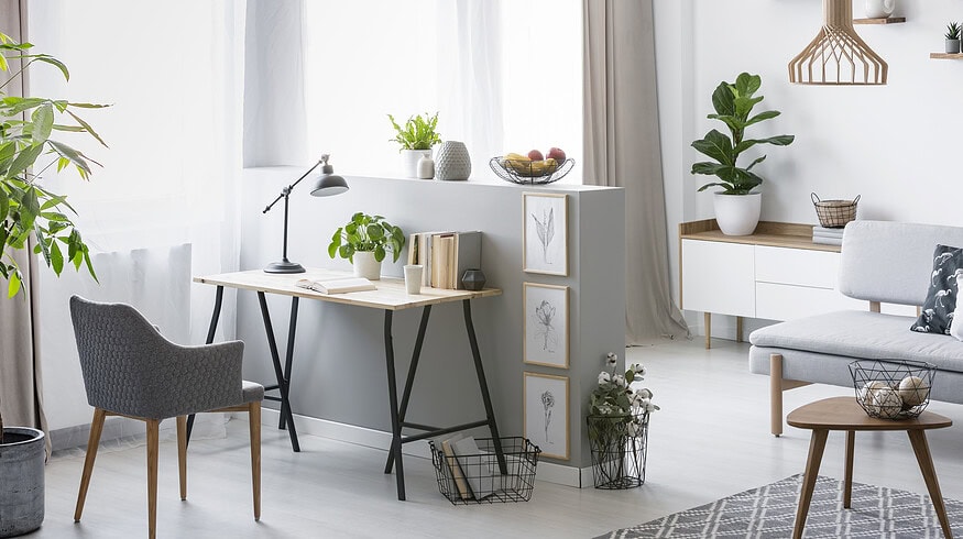 Thriving under fluorescent lights: the best office plants for your desk ...