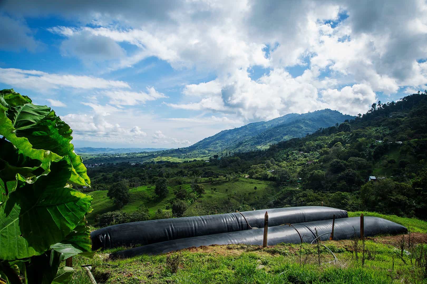 Sistema.Bio plans installing 25,000 biogas units in India — Fertilizer ...