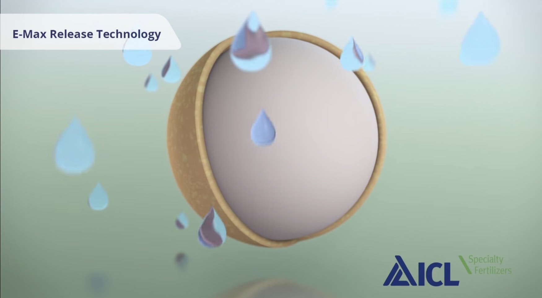 The evolution and impact of controlled-release fertilizer technology in ...