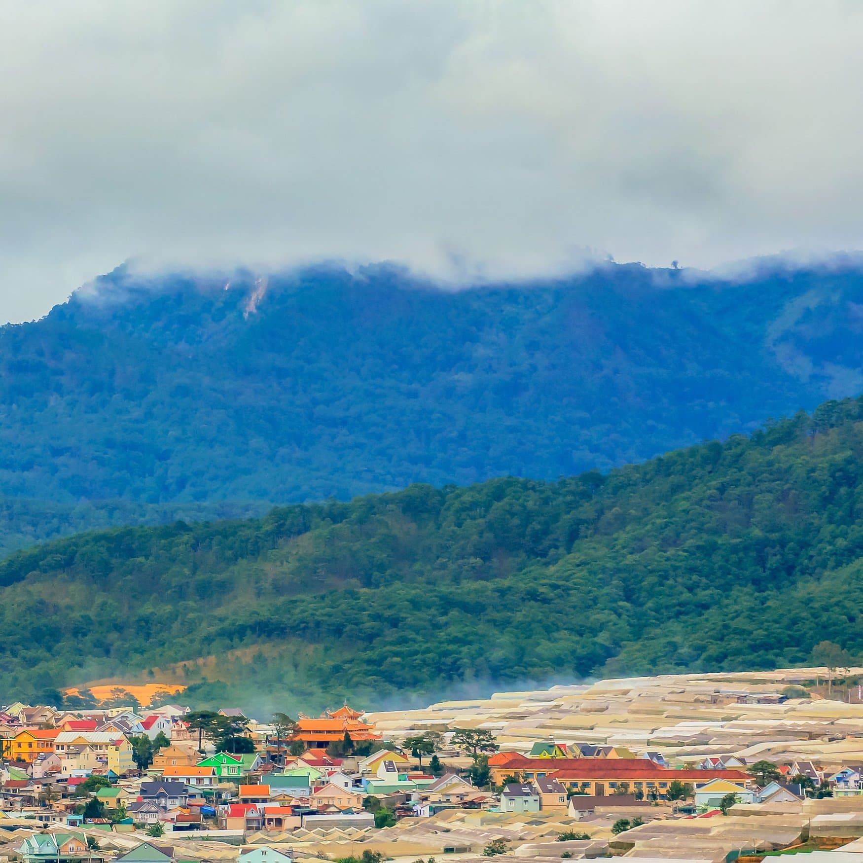 Lam Dong develops circular agriculture — Fertilizer Daily