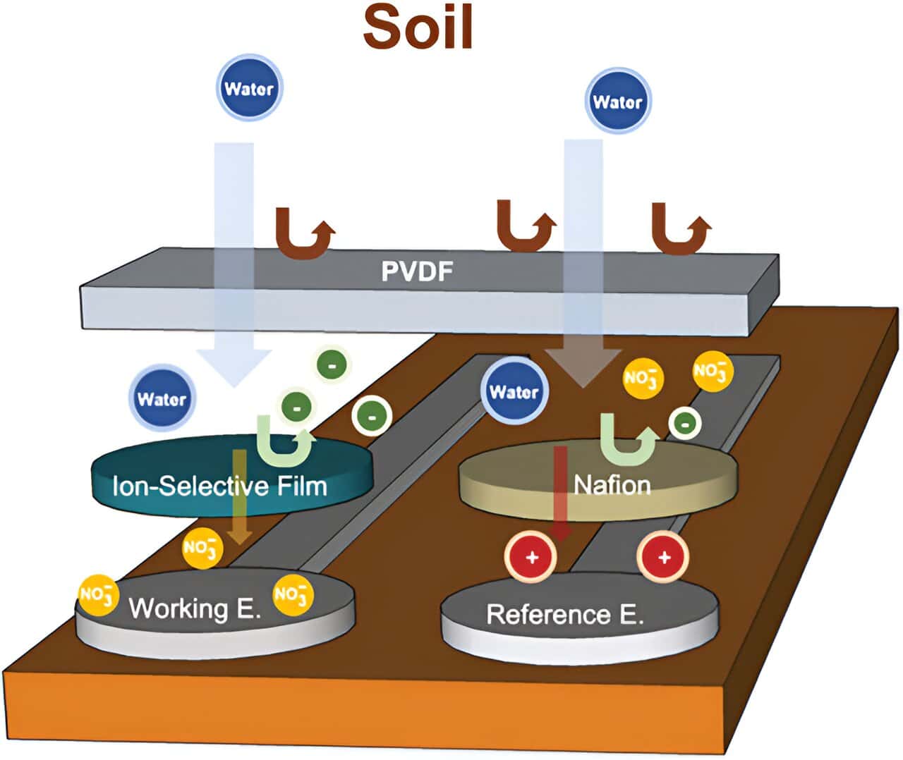 UW-Madison engineers unveiled innovative nitrate monitoring soil ...