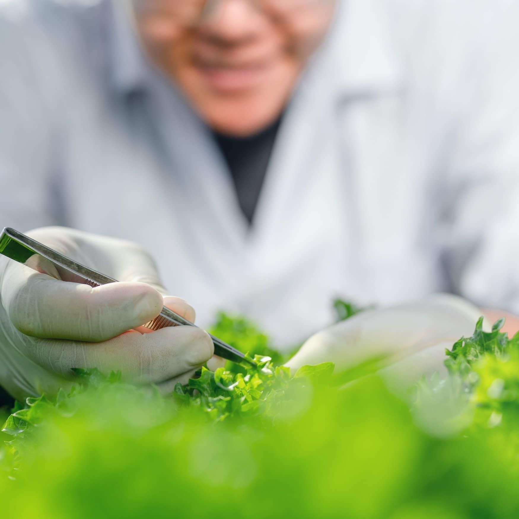 $23 million boost for horticultural research in Canada — Fertilizer Daily
