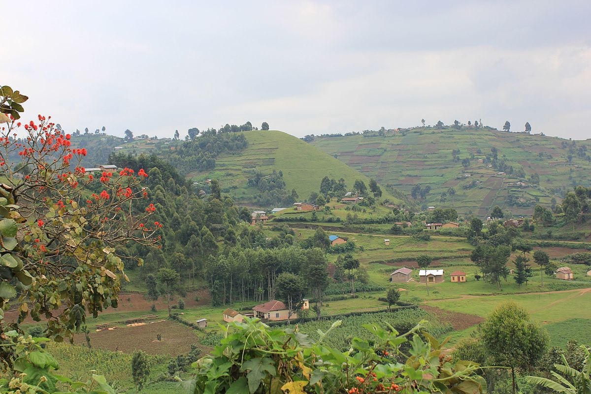 BG Titan expands in Uganda with zero-waste farming and renewable energy ...
