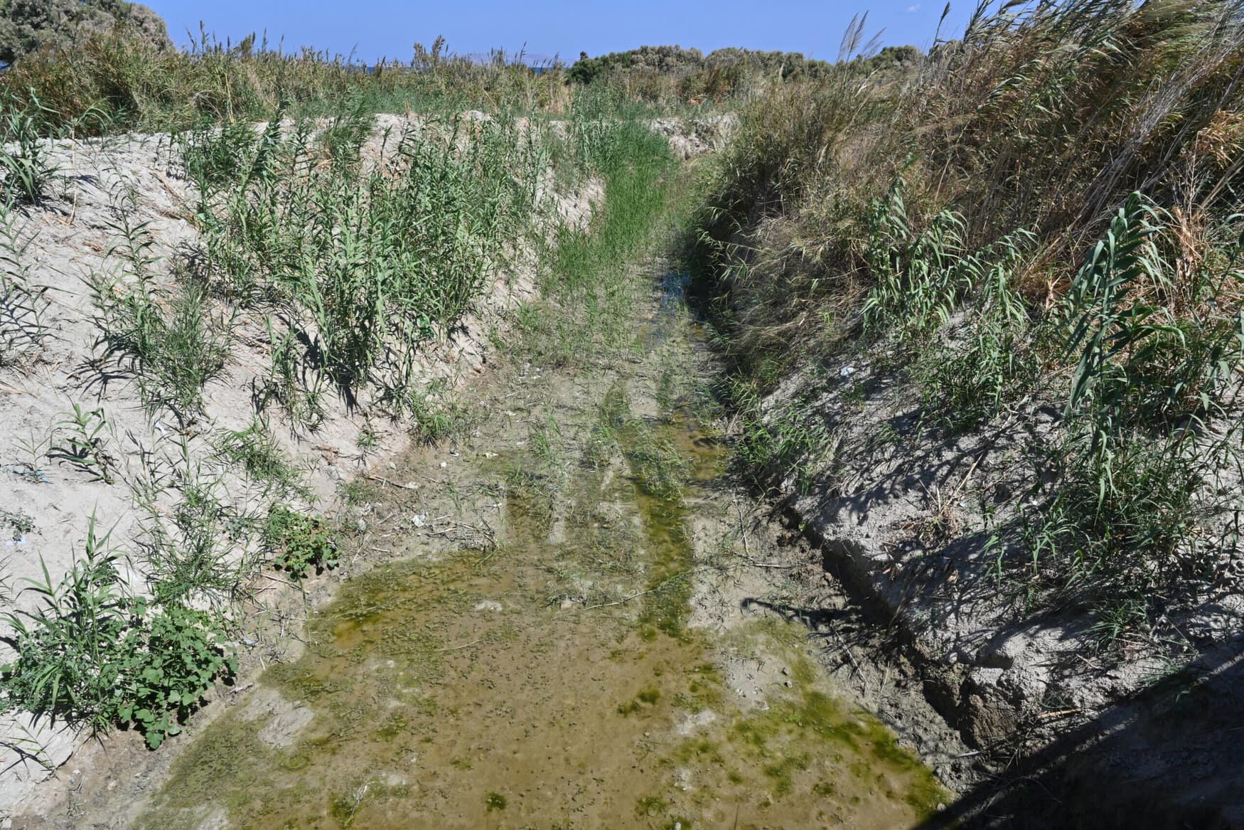 UPL’s TOP DECK herbicide gains California approval for aquatic ...