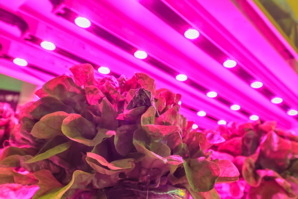 What is electro-agriculture and how it could transform farming ...
